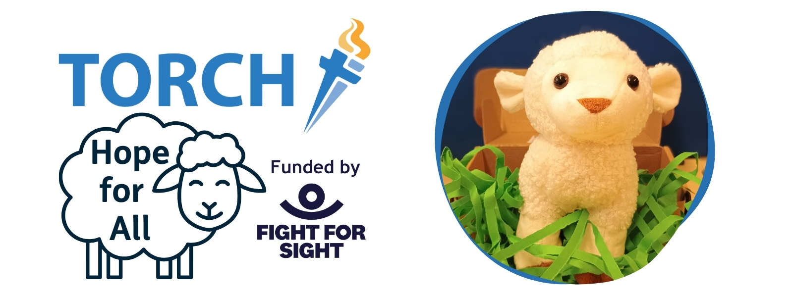 Torch Trust | News | Hope for All Project